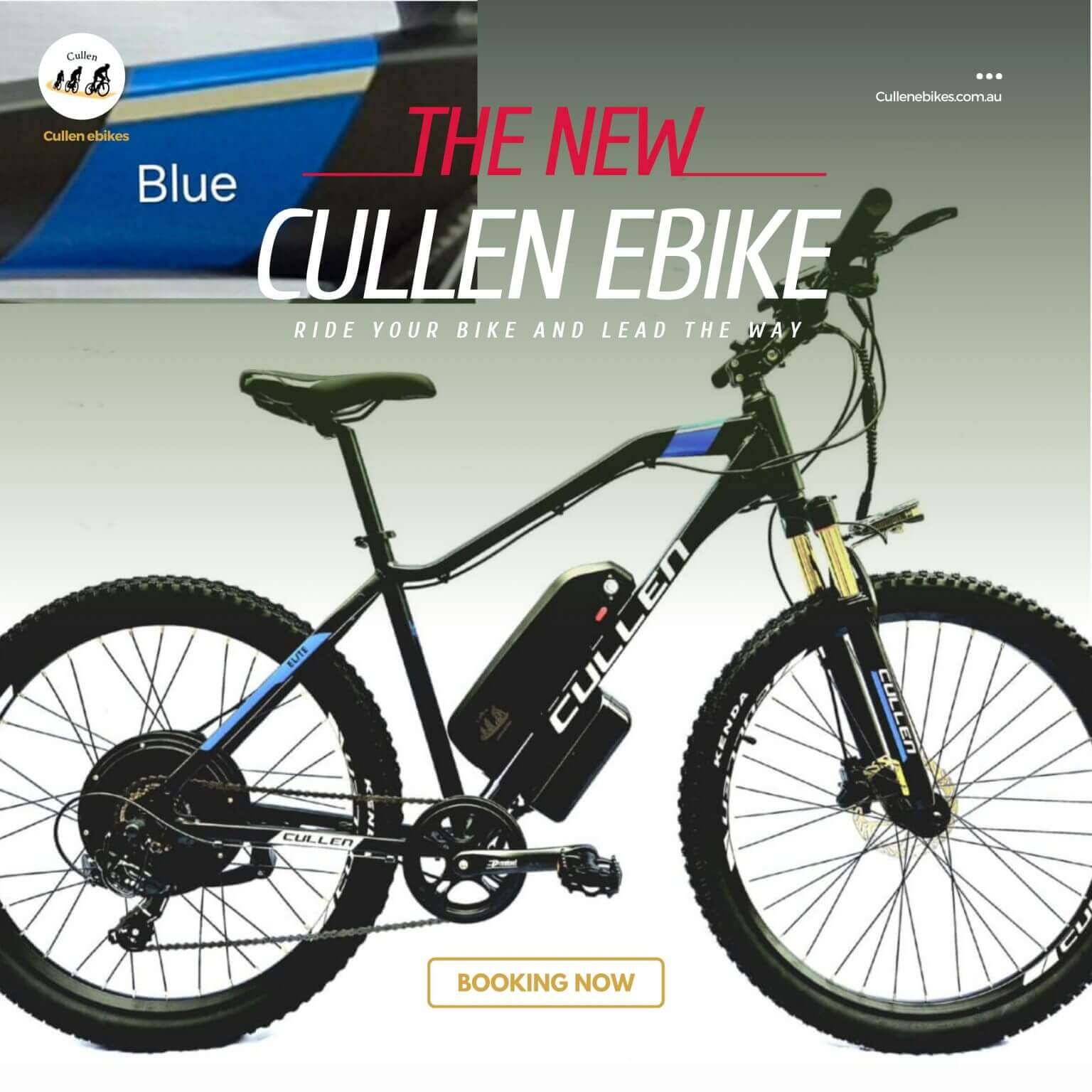 Electric Mountain Bikes Sydney | Cullen E Bikes